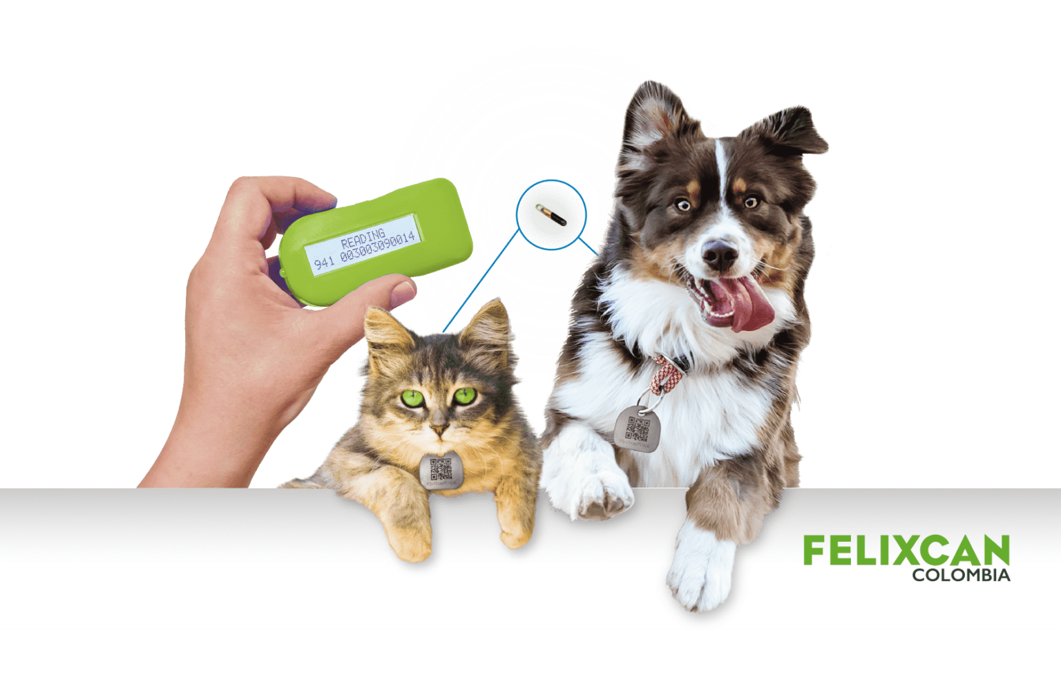 Microchips Mascotas - Felixcan Colombia