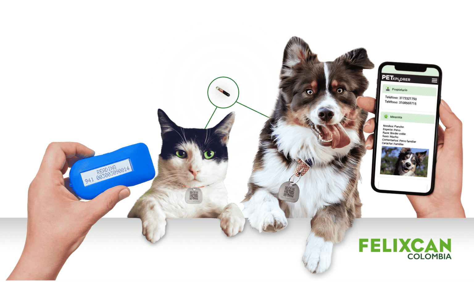 Microchips Mascotas - Felixcan Colombia