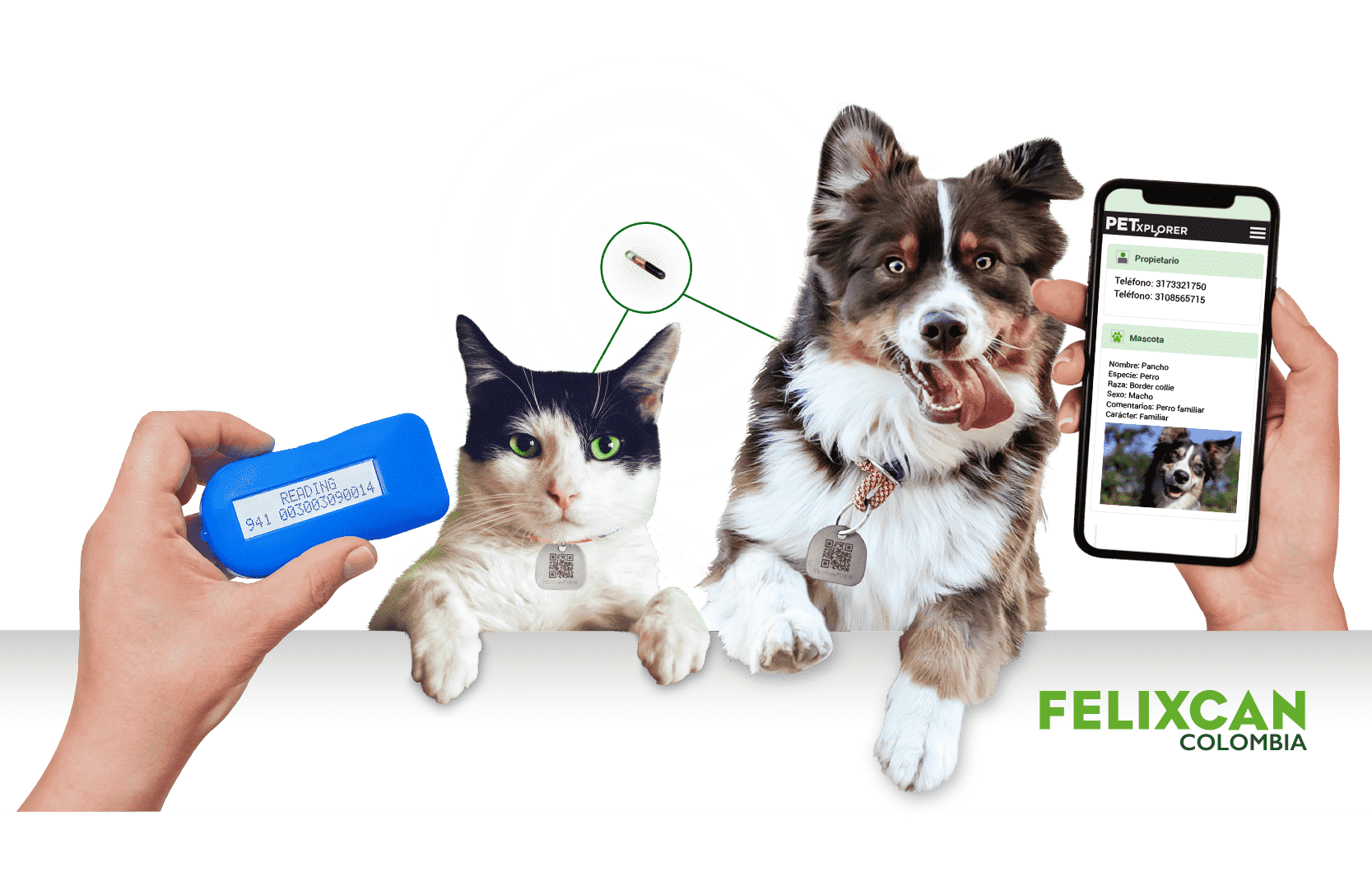 Identifica a tu Mascota - Felixcan Colombia