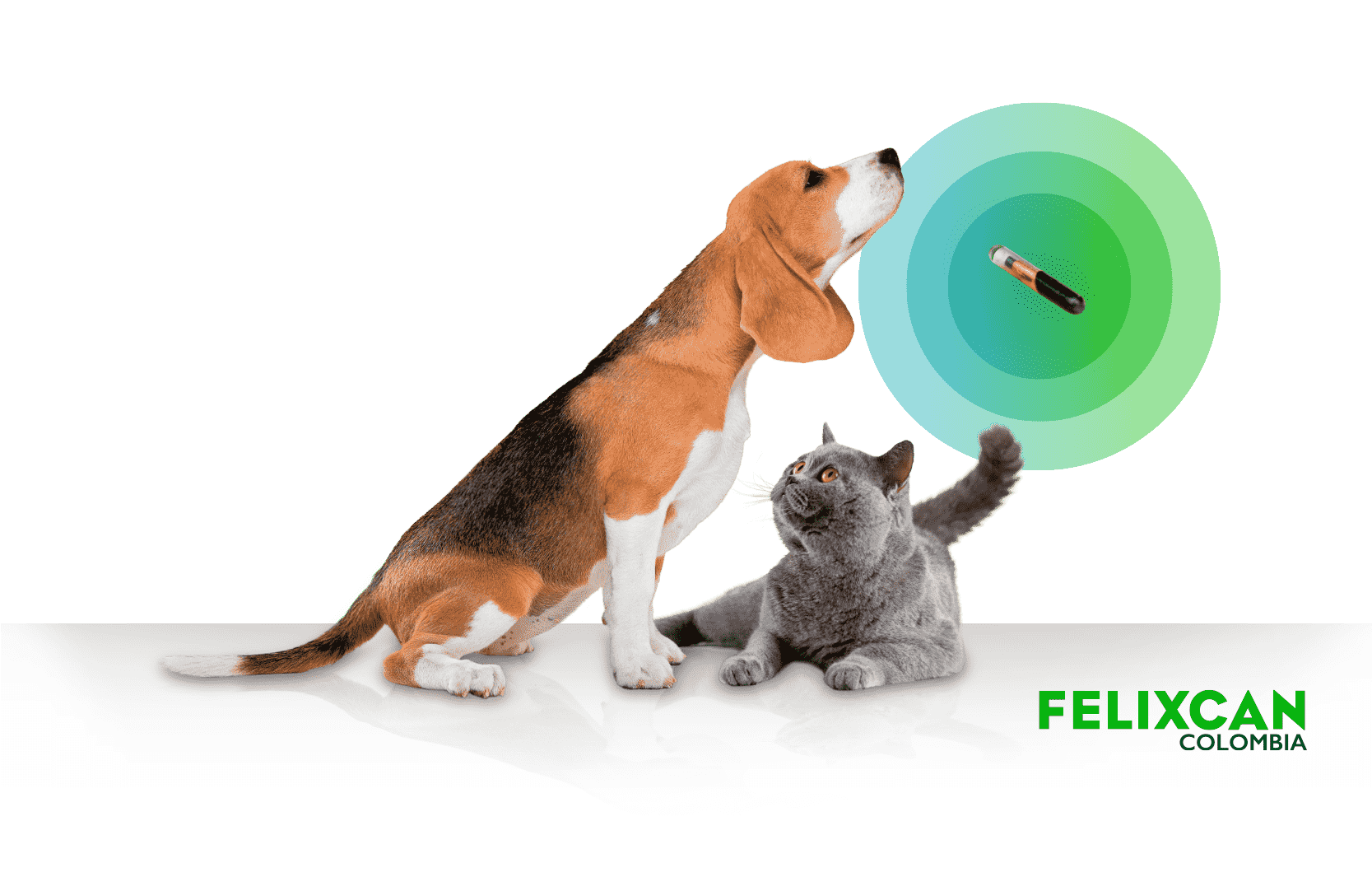 ID Mascotas - Felixcan Colombia