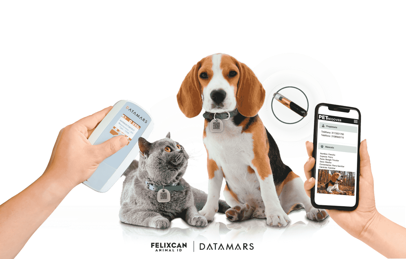 Microchips Mascotas - Felixcan Colombia